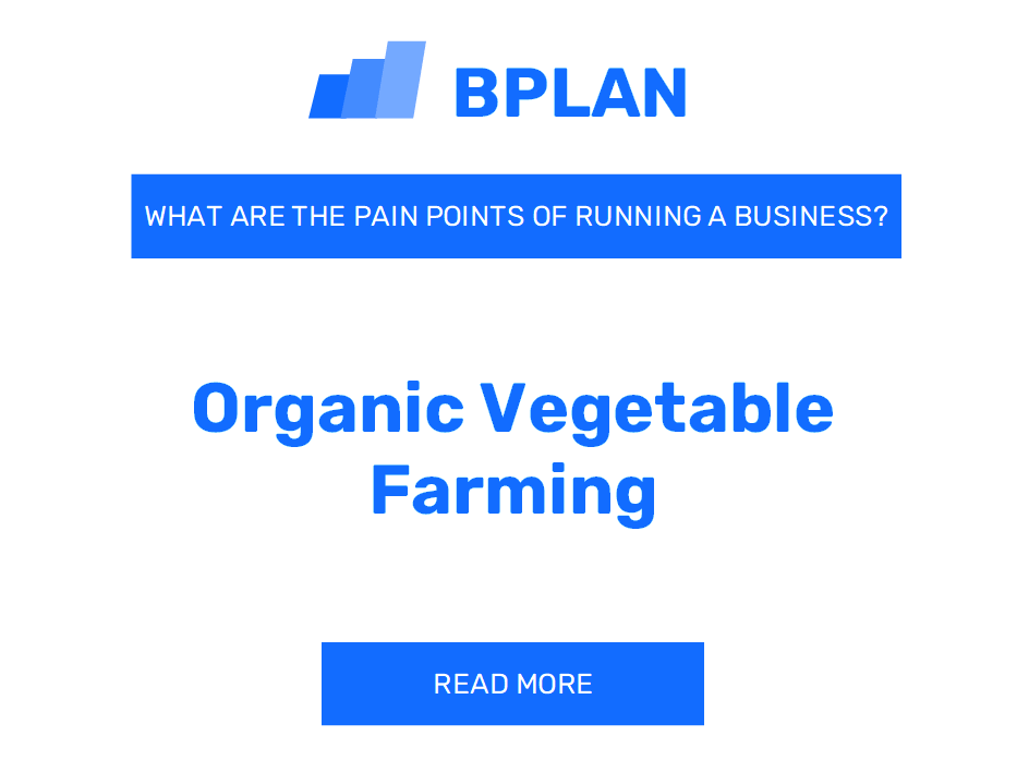 Worried about Organic Vegetable Farming Pain Points? Discover Solutions ...
